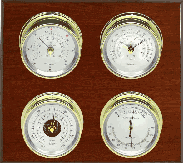 Observer 2-S Weather Station - Wind, Barometer, Thermometer & Hygromet ...