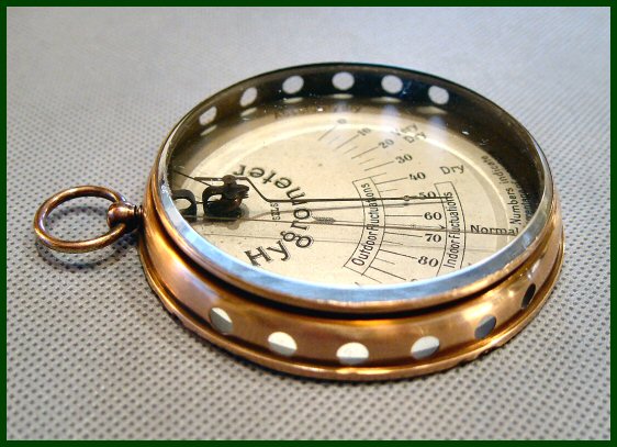 Selsi Hair Hygrometer – The Weather Store